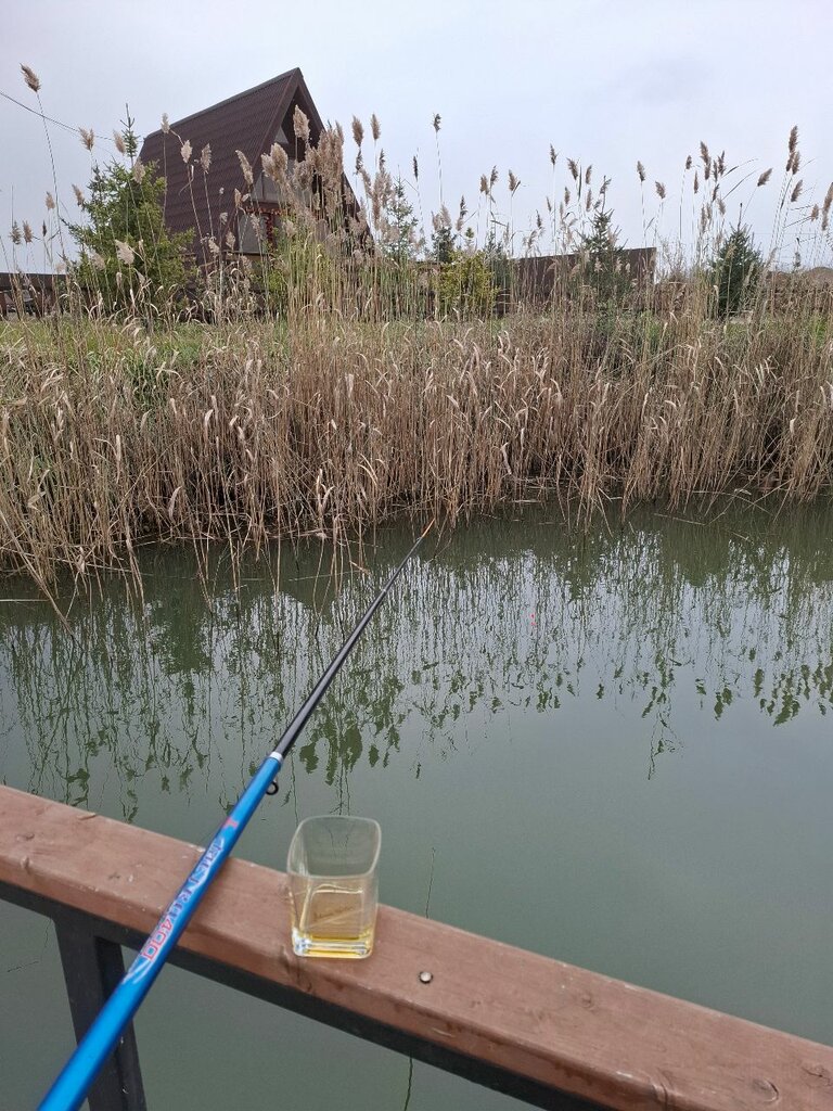 Resort oteller, tesisler Chistye Prudy, Kuzey Kazakistan eyaleti, foto