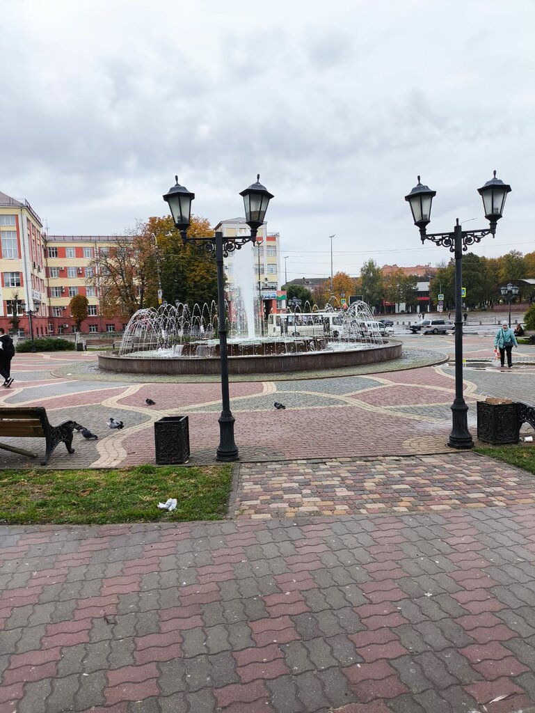 Çeşme Центральный фонтан, Klintsy, foto