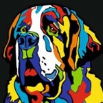 Barberdog (Krasniy Avenue No:167/4, Novosibirsk), evcil hayvan kuaförleri  Novosibirsk'ten