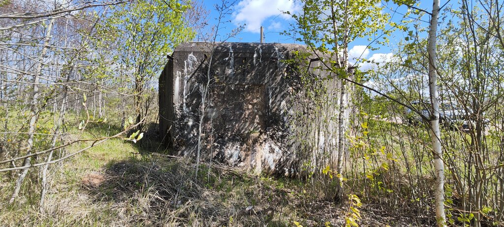Turistik yerler Долговременная огневая точка, Pskovskaya oblastı, foto