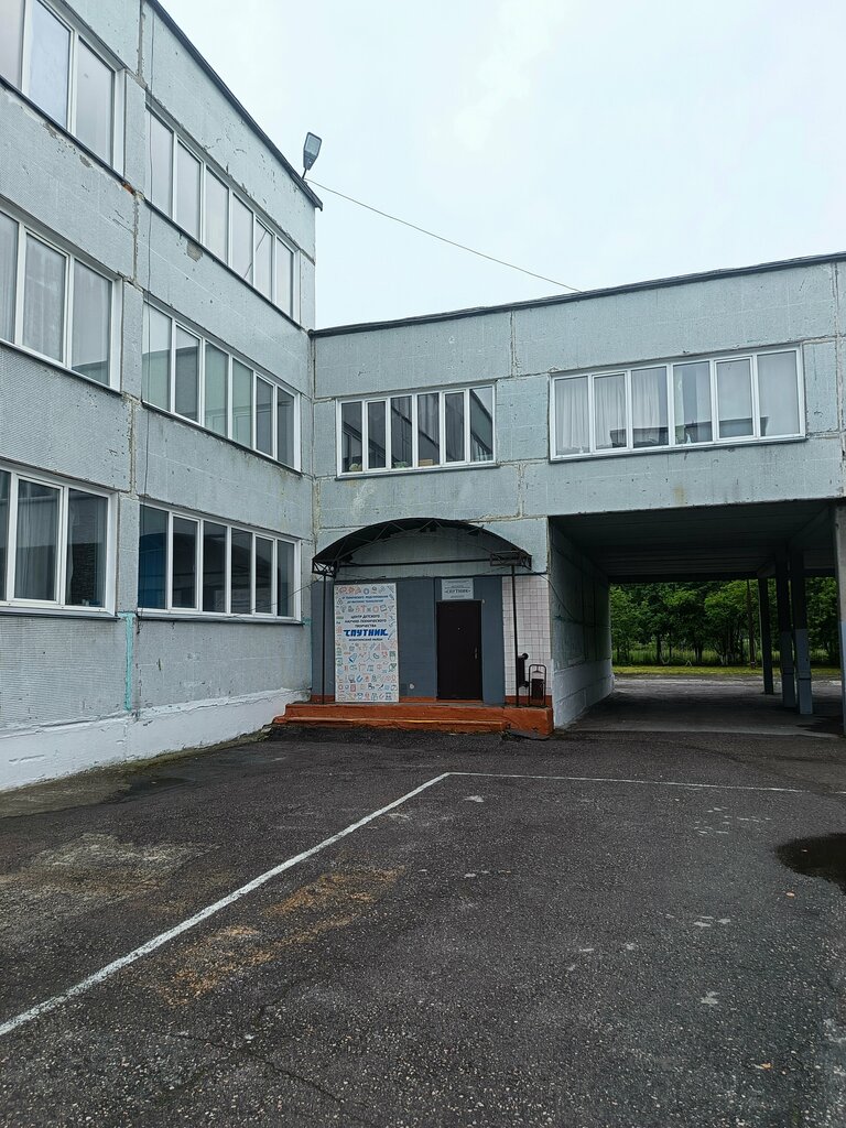 Kurs Центр дополнительного образования детей Спутник Р. П. Линево, Novosibirskaya oblastı, foto