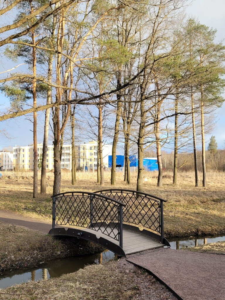 Ortodoks kiliseleri Tserkov Preobrazheniya Gospodnya V Gorbunkakh, Saint‑Petersburg ve Leningradskaya oblastı, foto