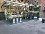 Цветы (Mashtots Avenue No:5), çiçekçiler  Erivan'dan