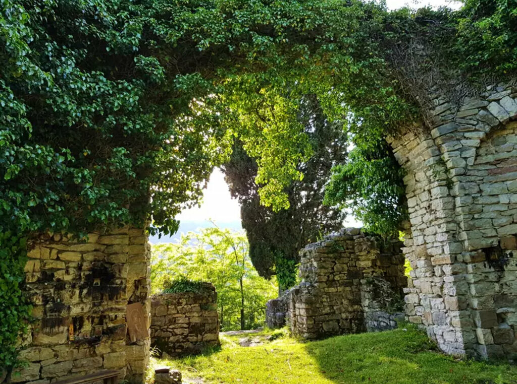 Turistik yerler Sochinskoye otdeleniye Voo Rgo, Soçi, foto