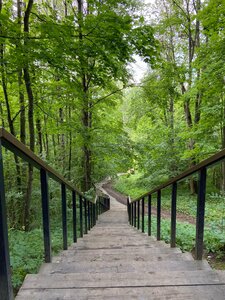 Нагорный парк (St. Petersburg, Krasnoye Selo, Nagorny park), kültür ve eğlence parkları  Krasnoye Selo'dan