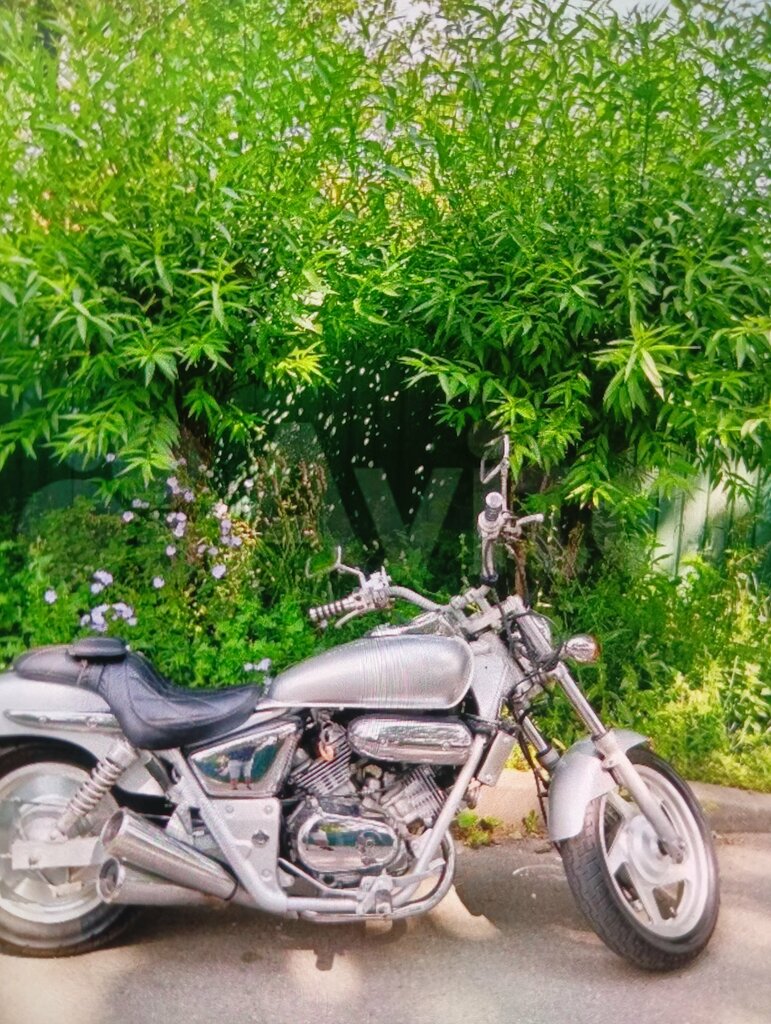 Motosiklet tamiri XRMotors, Puşkino, foto