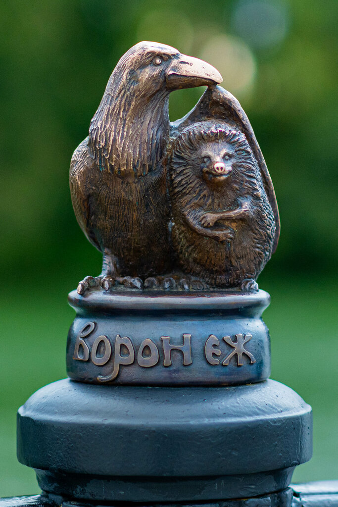 Park, sokak heykeli Ворон ёж, Voronej, foto