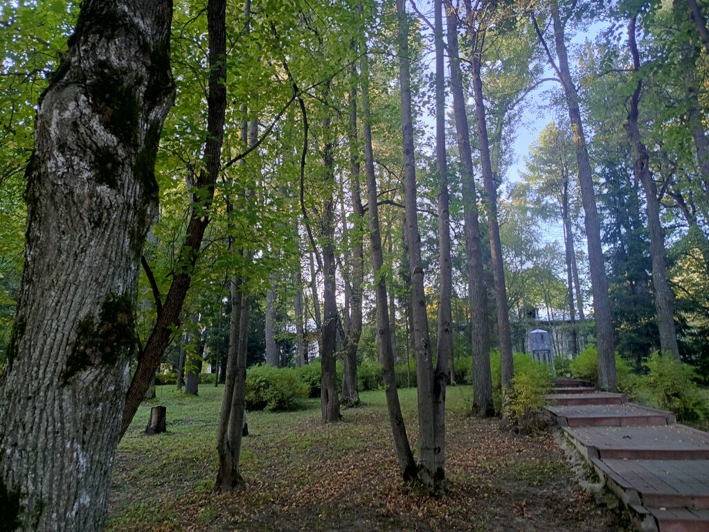 Turistik yerler The Estate of G.I. Medvedev, Çehov, foto