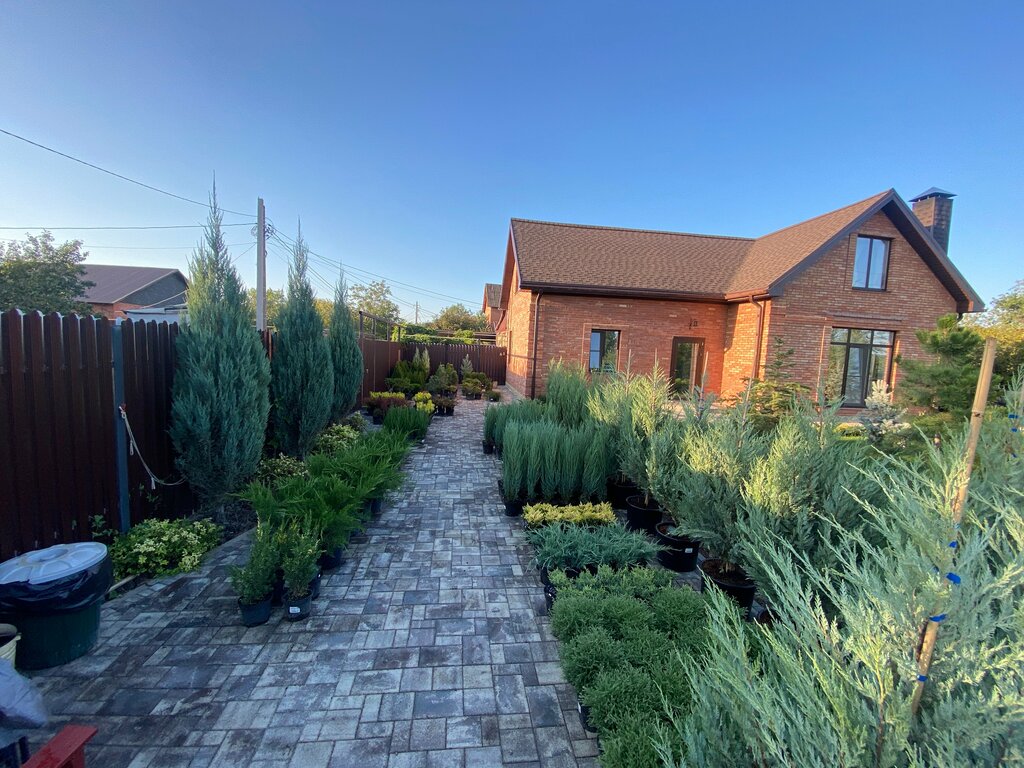 Sera ve bahçe ürünleri Садовый центр, Novoçerkassk, foto