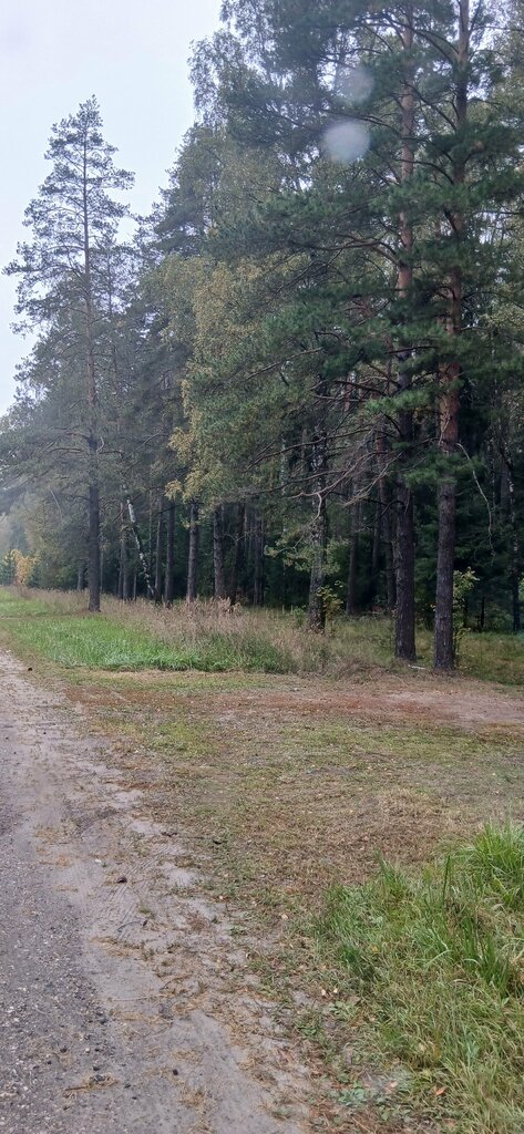 Anıt, heykel Карл Францевич Тюрмер, Vladimirskaya oblastı, foto