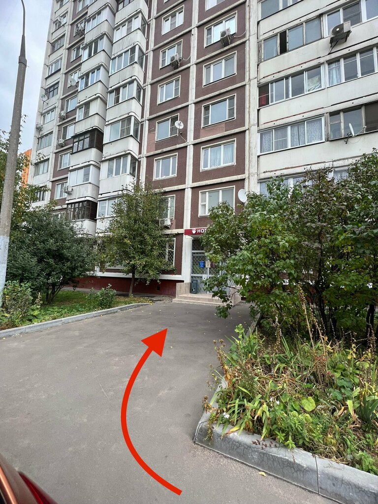 Tercüme büroları Перевод документов, Moskova, foto