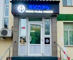 Якорь (Belinskogo Street No:1), bira dükkanı  Kursk'tan