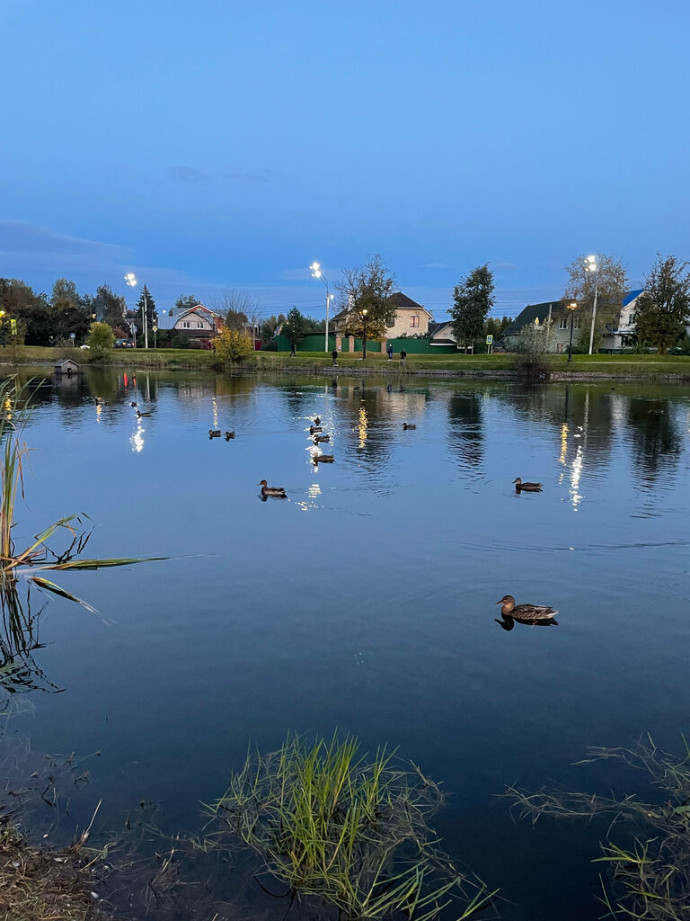 Turistik yerler Дом для уток и птиц, İstra, foto