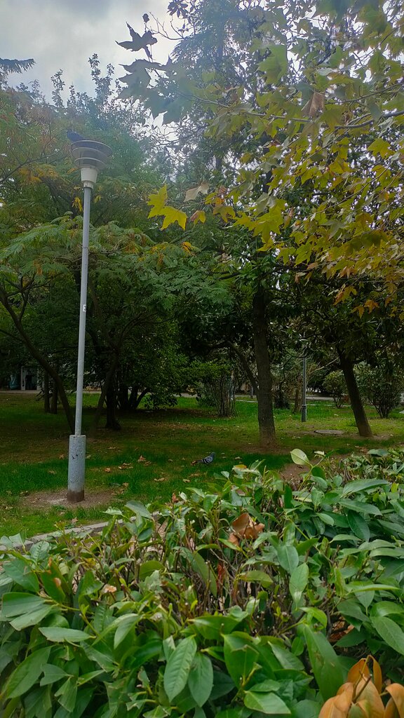 Oyun alanı Playground, Yalta, foto