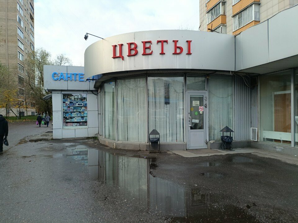 Çiçekçiler Магазин цветов, Moskova, foto