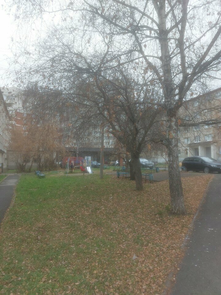 Oyun alanı Playground, Yekaterinburg, foto
