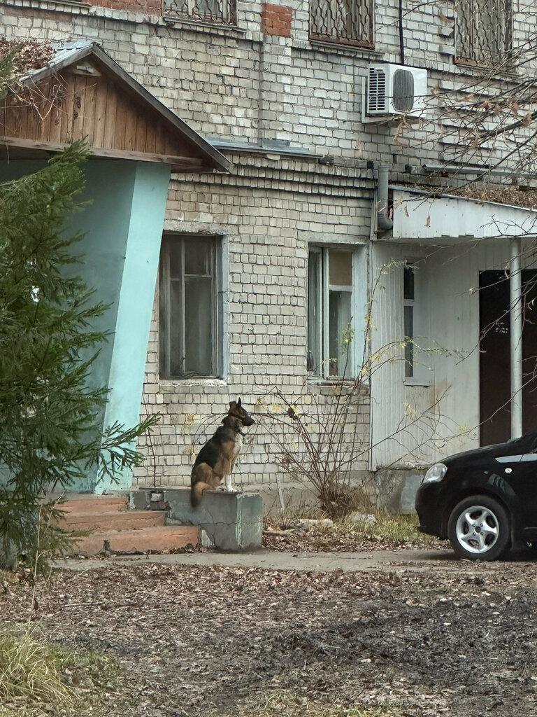 Merkezi ısıtma sistemleri Гортепло, Dmitrovgrad, foto