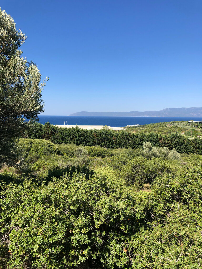 Piknik alanı Ekmeksiz Piknik Alanı, Seferihisar, foto
