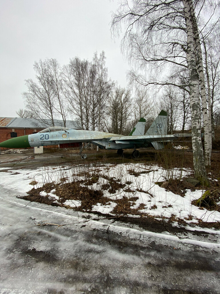 Teknoloji anıtı Самолёт Су-24, Kronstadt, foto
