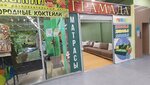 Грамада (Yangelya Street No:120), koltuk takımı mağazaları  Bratsk'tan