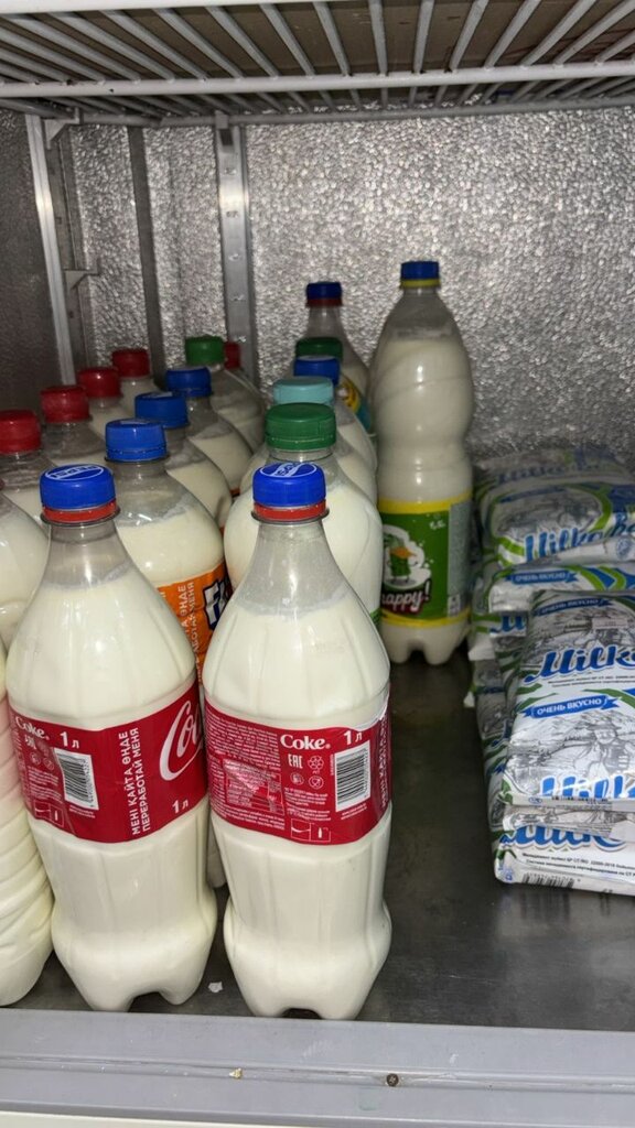 Market Olzha, Türkistan, foto