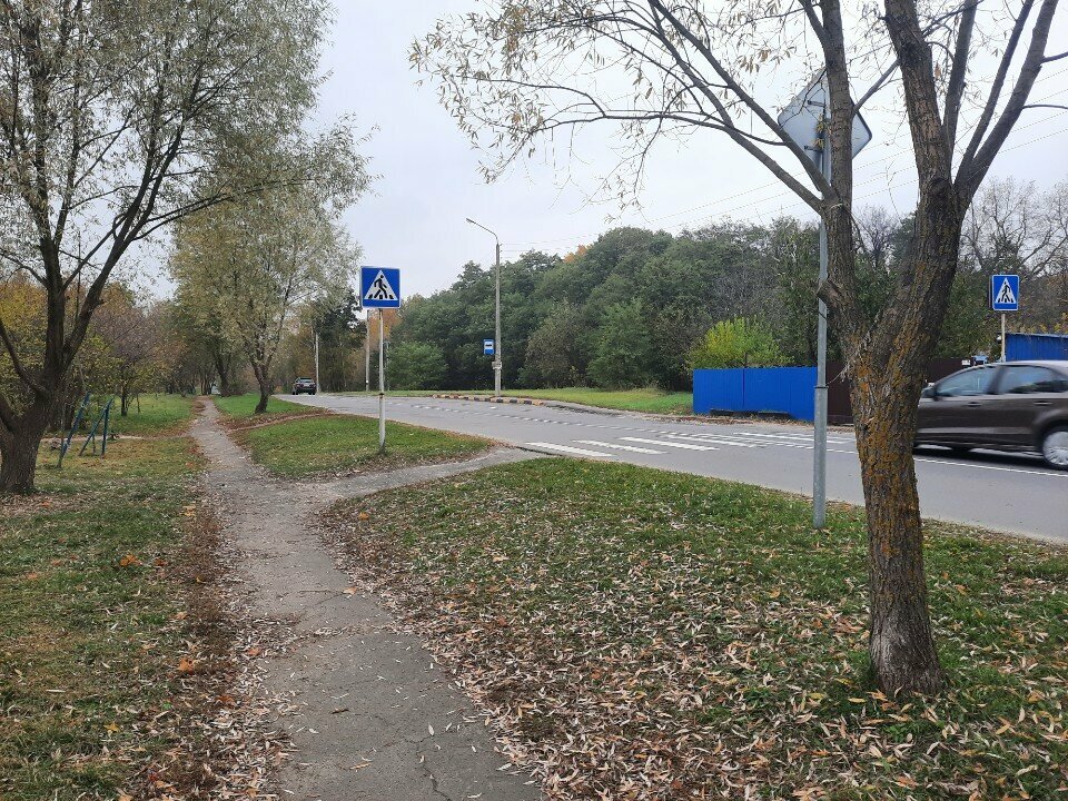 Piknik alanı Place for picnic, Gomelskaya oblastı, foto