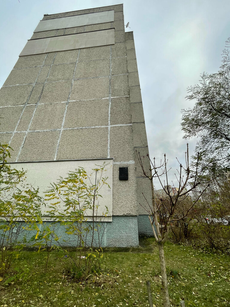 Anıt, heykel В.М. Гинтовт, Minsk, foto