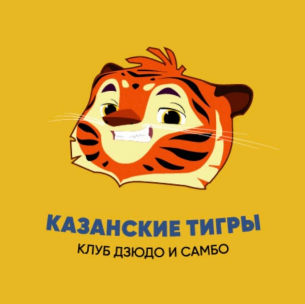 Spor okulları Дзюдо и самбо Казанские тигры, Kazan, foto