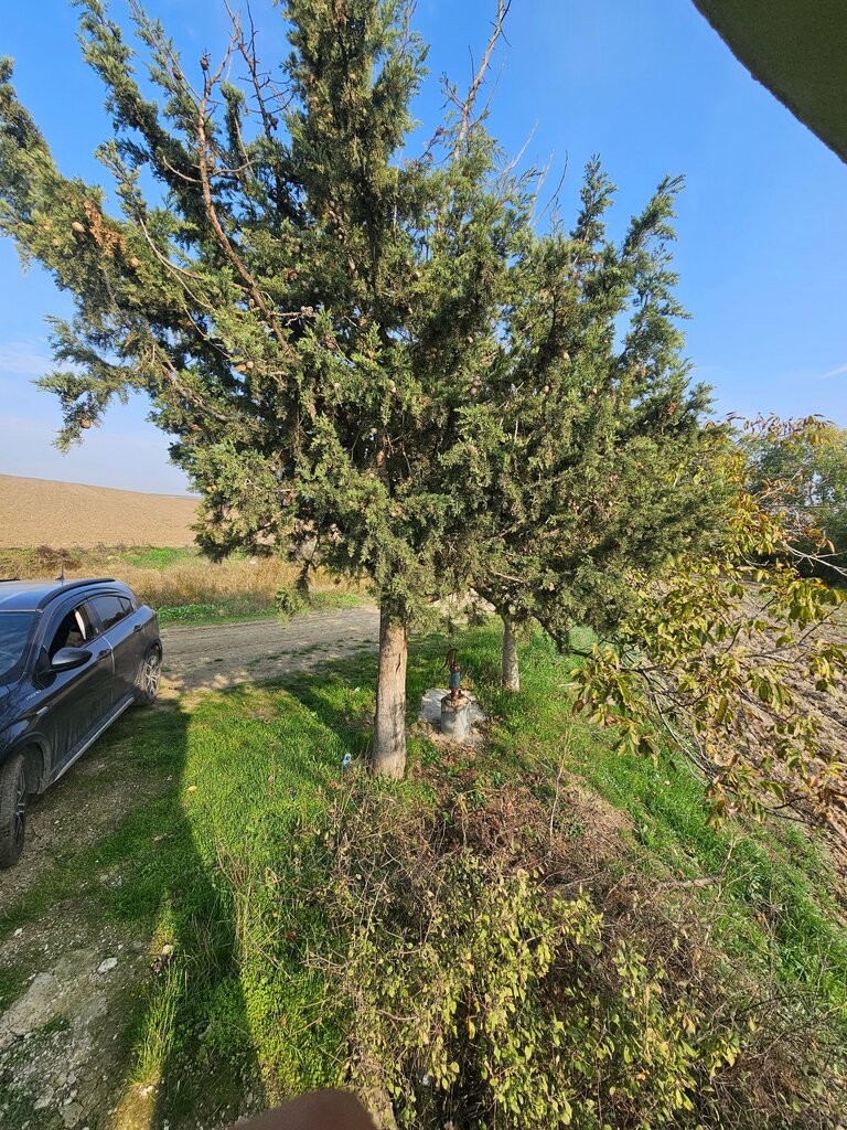 Turistik yerler Sabır Dede Türbesi, Marmara Ereğlisi, foto