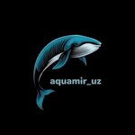Aqua Mir (Nukus Street No:88), akvaryumlar  Taşkent'ten