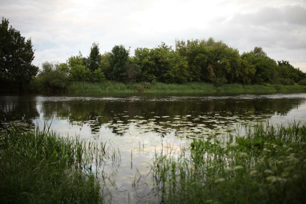 Piknik alanı Место для пикника, Mogiliovskaya oblastı, foto