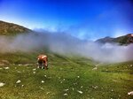 Anzer Balı Kooperatifi (Rize, Rize Merkez , Zihni Derin Cad., 15C), tarım kredi kooperatif birlikleri  Rize'den