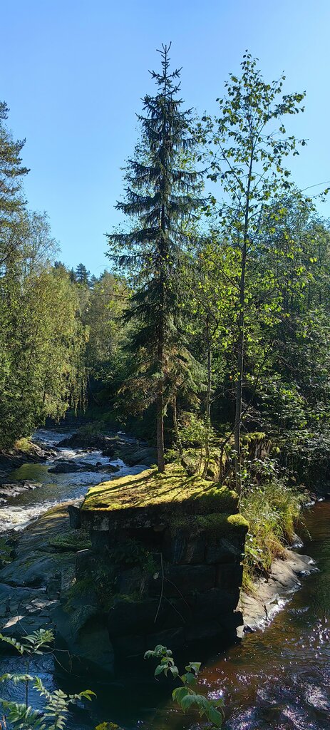 Şelale Порог, Karelya, foto