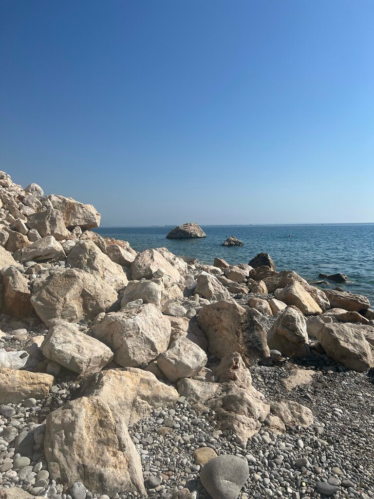 Plaj Vahşi plaj, Dünya, foto