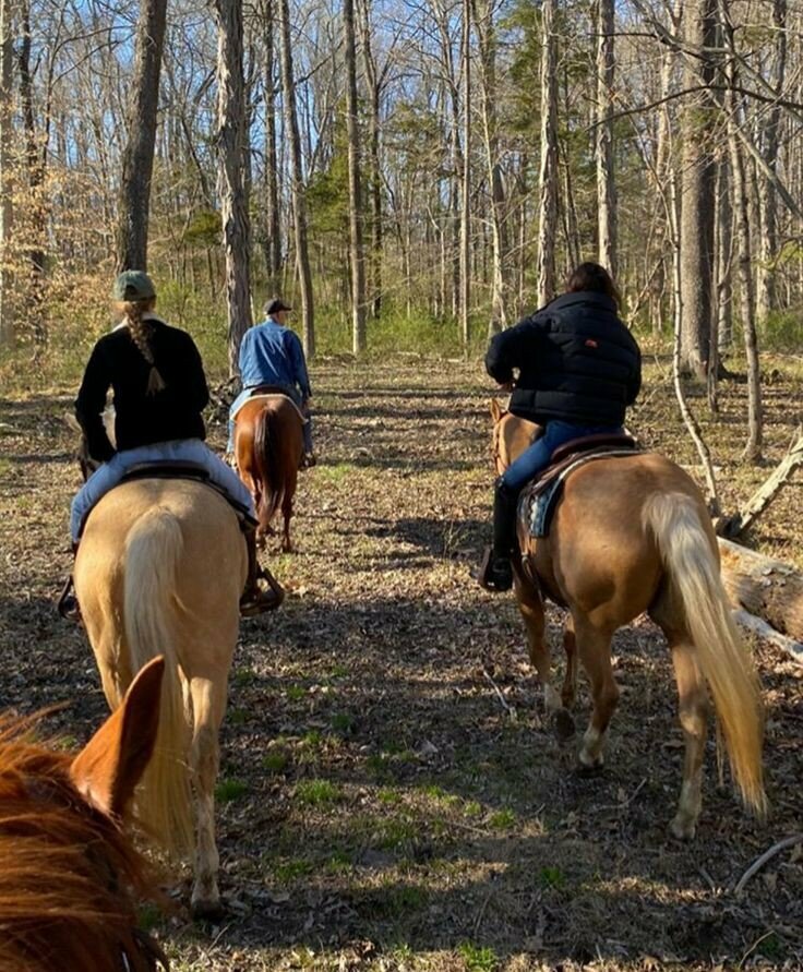 At ve binicilik kulüpleri Bambi Land Ranch, Moskova ve Moskovskaya oblastı, foto