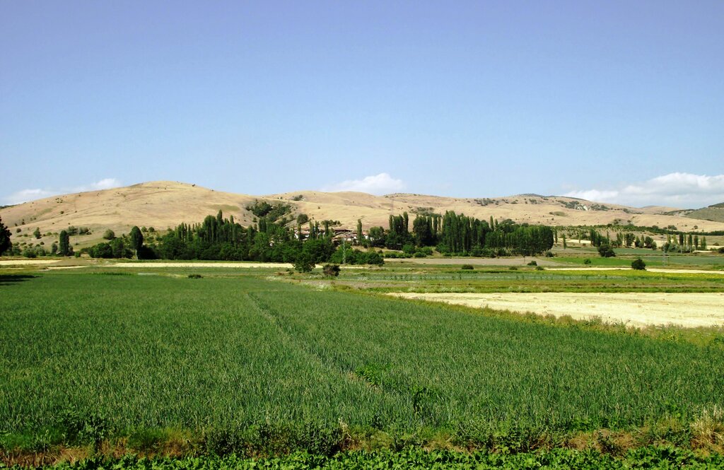Muhtarlıklar Balıklı Köy Muhtarlığı, Gümüşhacıköy, foto