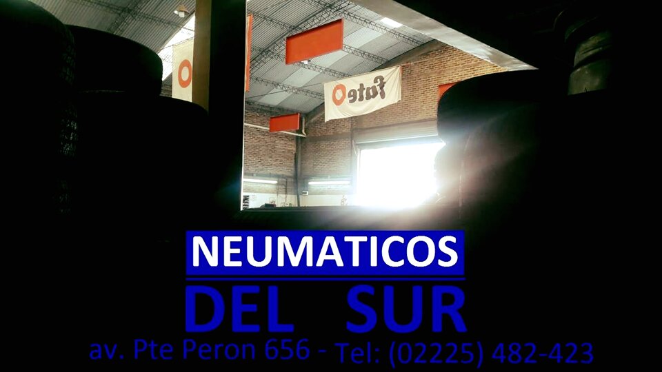 Oto aksesuarları Neumaticos Del Sur, , foto
