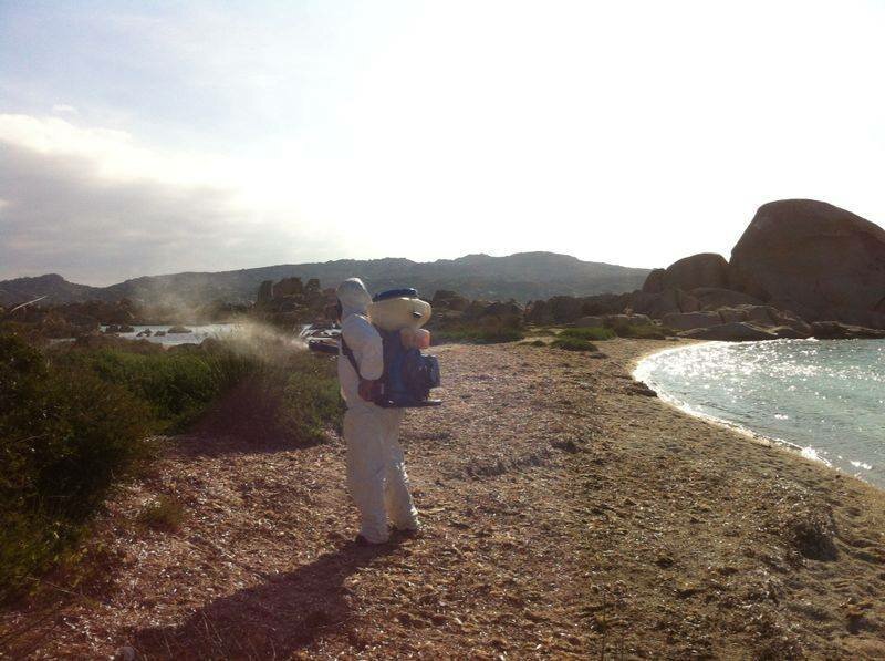 Haşere ilaçlama firmaları 3D Disinfestazioni e Derattizzazione, La Maddalena, foto