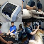 Veterinary Center Of The West (Valle del Cauca, Municipio de Santiago de Cali, Comuna 2, San Vicente, Avenida 5C, 24-NORTE-59), veteriner klinikleri  Cali'den