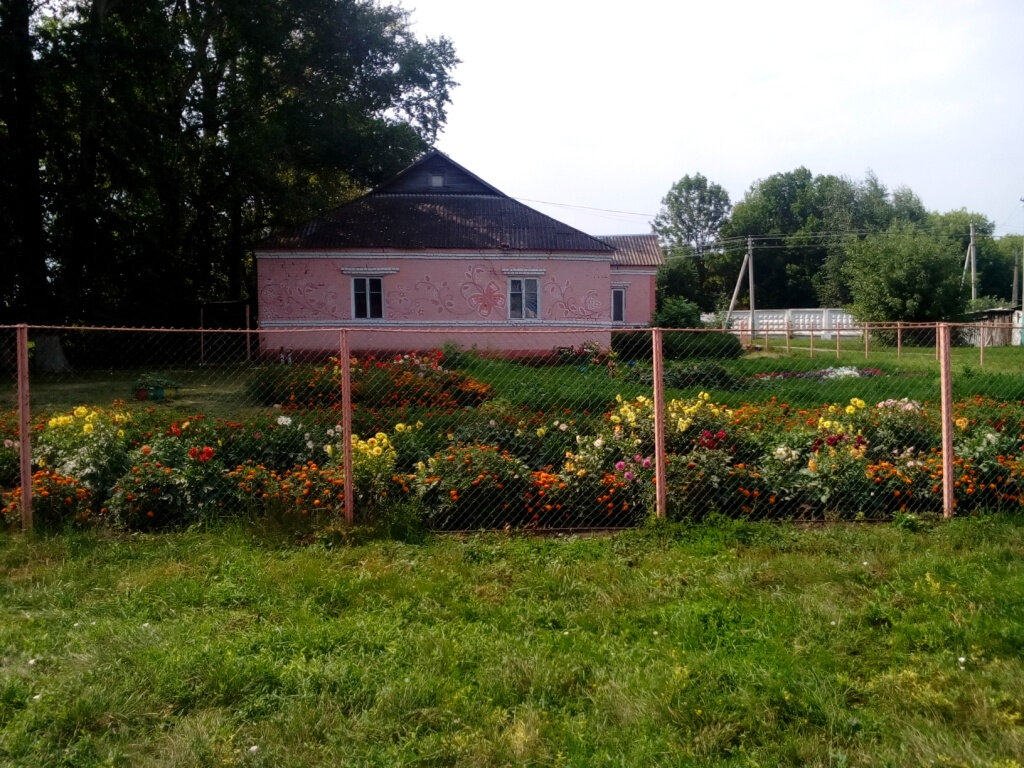 Kültür ocakları Поселенческий центр культуры и досуга с. Топтыково, Lipetskaya oblastı, foto