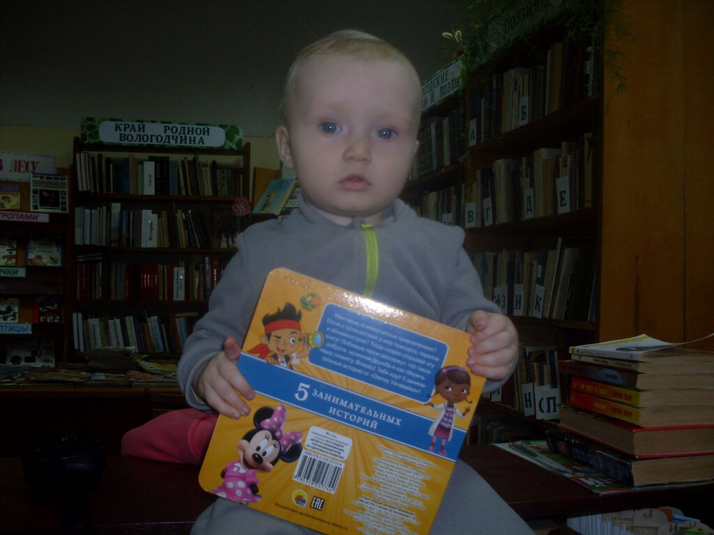 Kütüphaneler Дубровский библиотечный филиал, Vologodskaya oblastı, foto