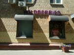 Wildberries.ru (Borisa Galushkina Street No:15), teslimat noktası  Moskova'dan