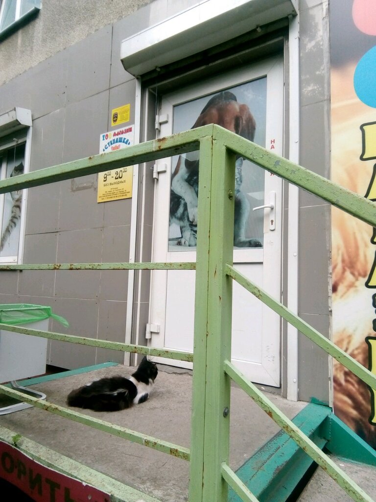 Petshop Степашка, Vladivostok, foto