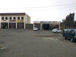 Tin-tinxona (Bukhara), haşere ilaçlama firmaları  Buhara'dan