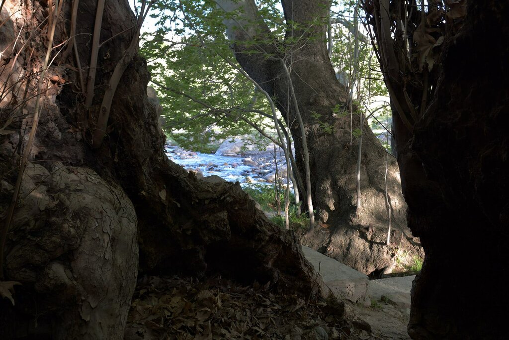 Ortaokul Школа № 25, Surhanderya eyaleti, foto