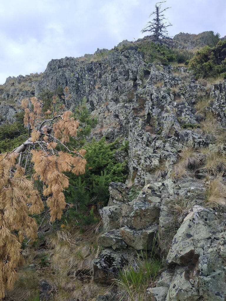 Dağ zirvesi Гора Карагайтюбе, Başkurdistan, foto