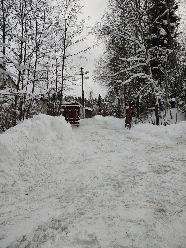 Bahçecilik dernekleri ve kuruluşları СНТ Березка, Moskova ve Moskovskaya oblastı, foto