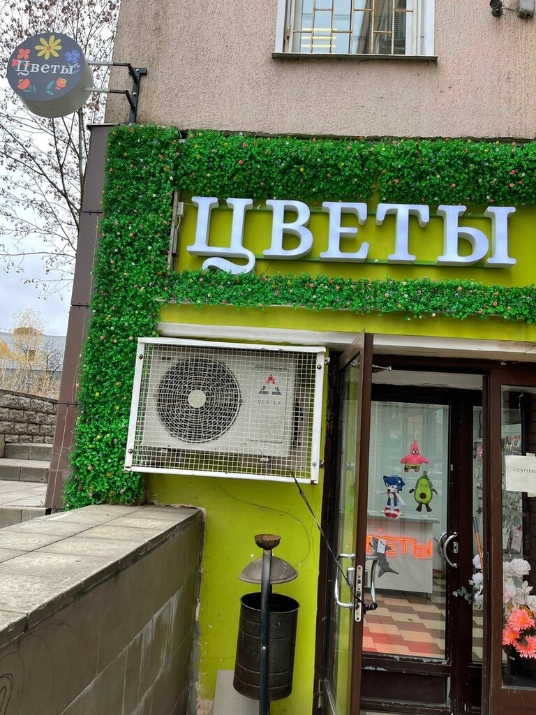 Kutlama ürünleri Kamelia, Şçolkovo, foto