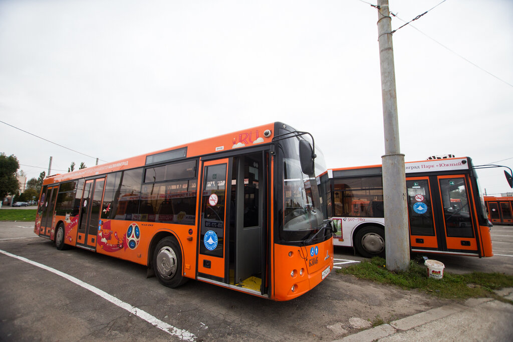 Otopark ve tamirhaneler Mkp Kaliningrad-GorTrans, Kaliningrad, foto