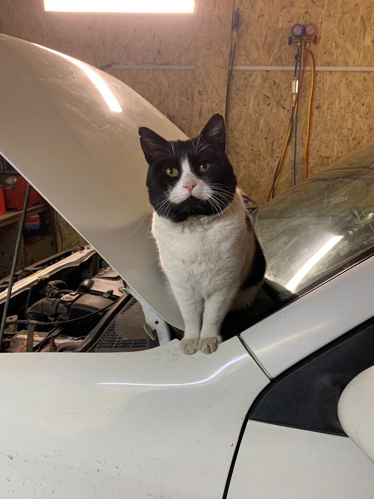 Otomobil servisi Компьютерная автодиагностика, Kaluga, foto